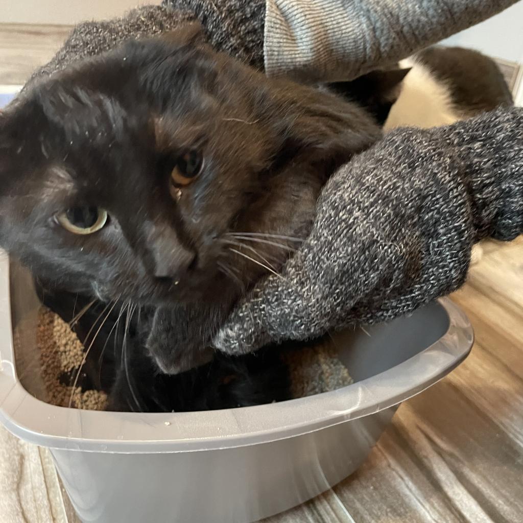 ruth – Furry Friends Refuge