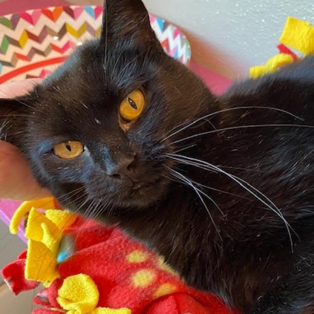 20221010182401 – Furry Friends Refuge