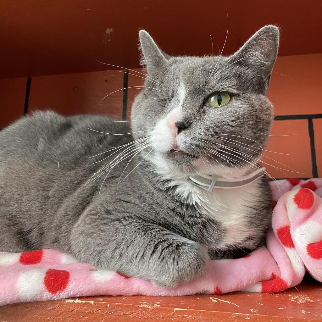 20231028105444 – Furry Friends Refuge
