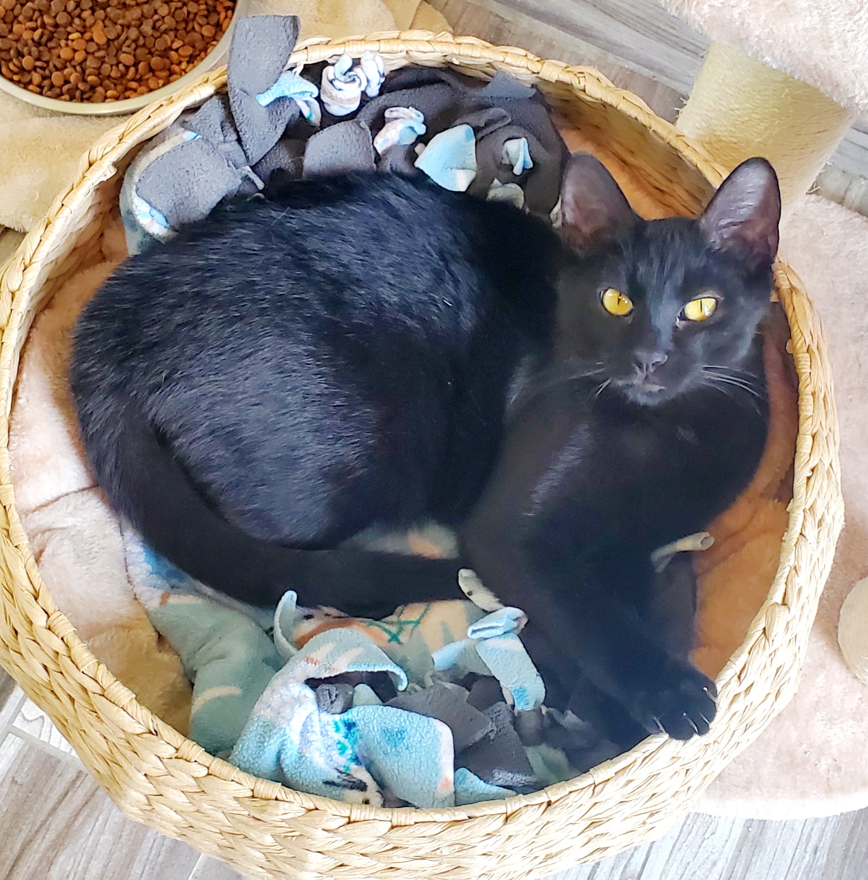 20250526_152813 – Furry Friends Refuge